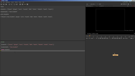 Training - Python for Nuke Users - 10 List 1 | Foundry Community